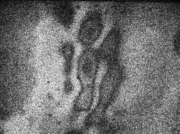 Section RotorBlade2 - isi-sys